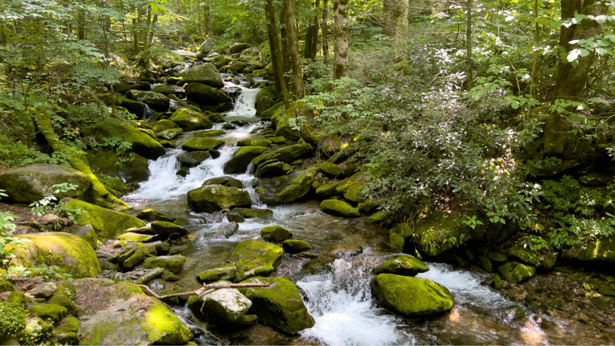 Great Smoky Mountains - Himalayan Institute