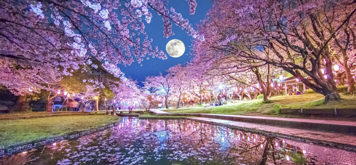 Tai Chi Easy: Flow into Vitality - Himalayan Institute